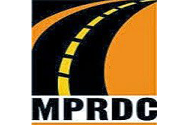 Empowering Infrastructure Excellence - Dilip Buildcon Strengths